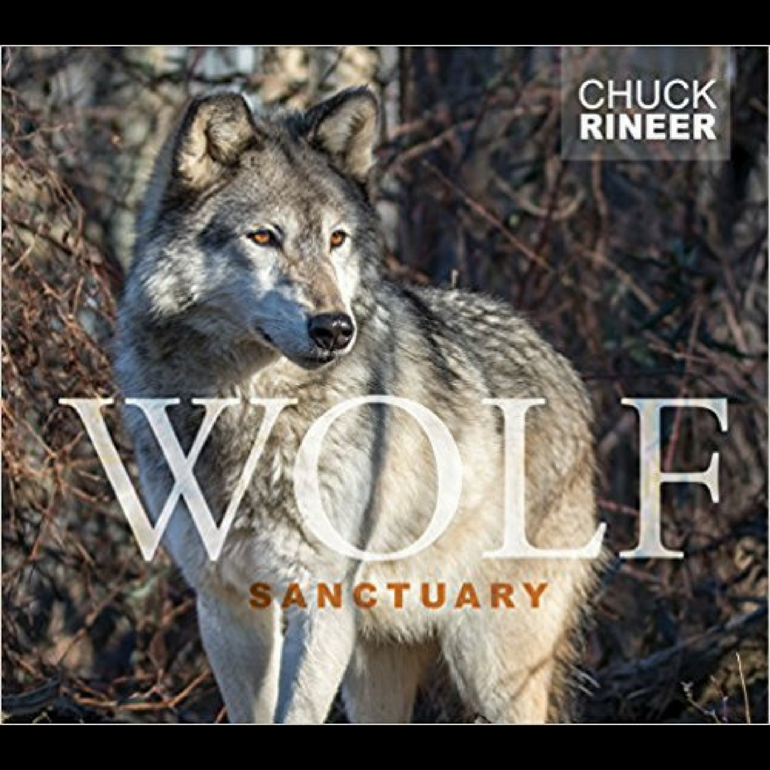 Exclusive Wolf Sanctuary of PA Merch